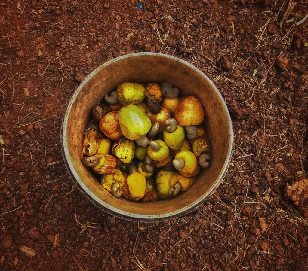 Lost and Found: A Tale of Goenchi Feni | ALMA Magazine